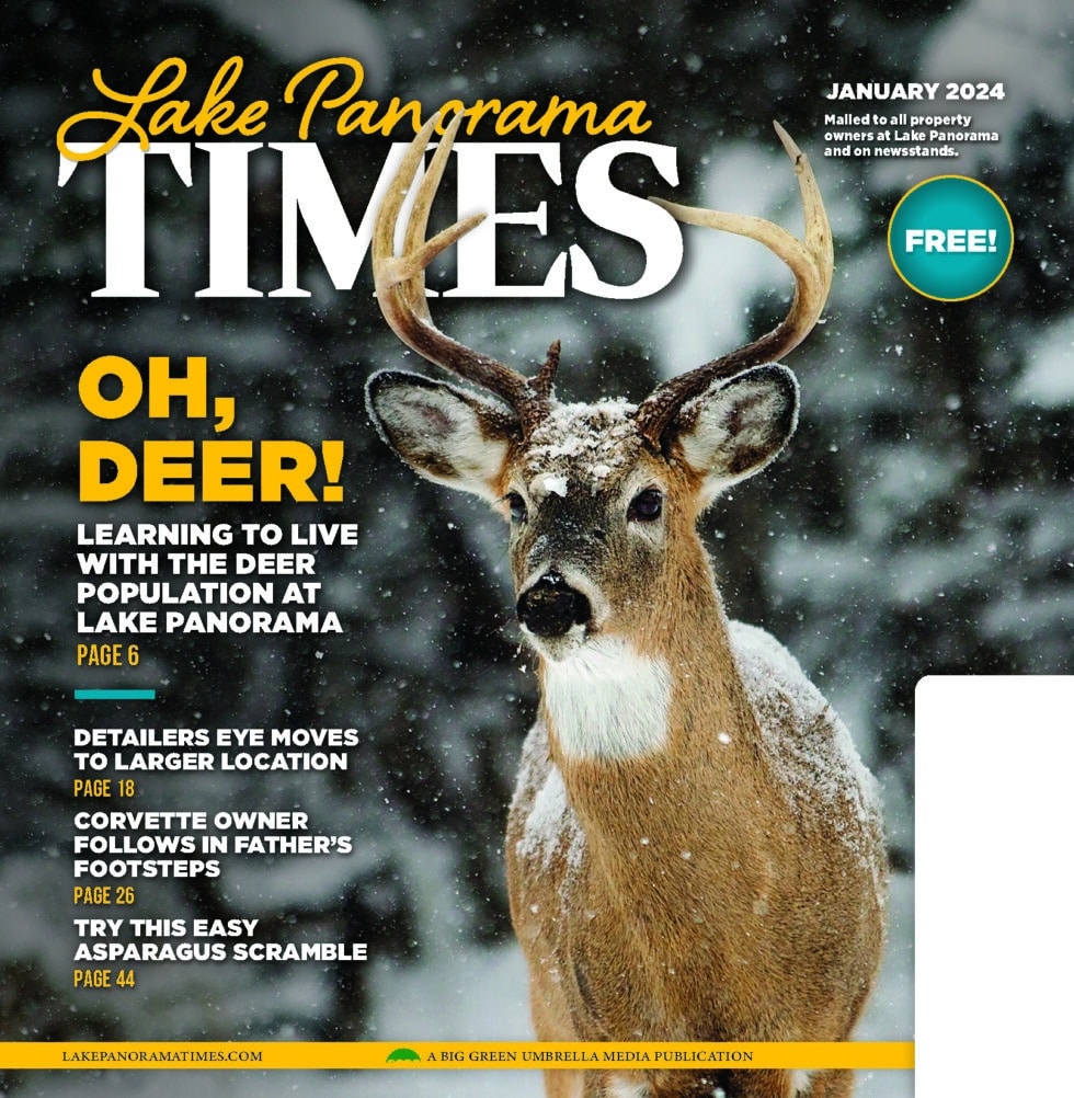 Home - Times Vedette